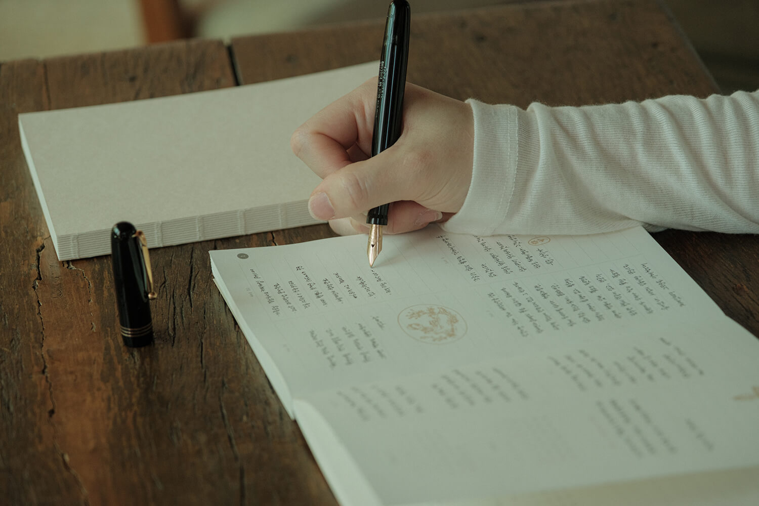 Your Story, Elevated. The 2026 Diary. – MOONKOO